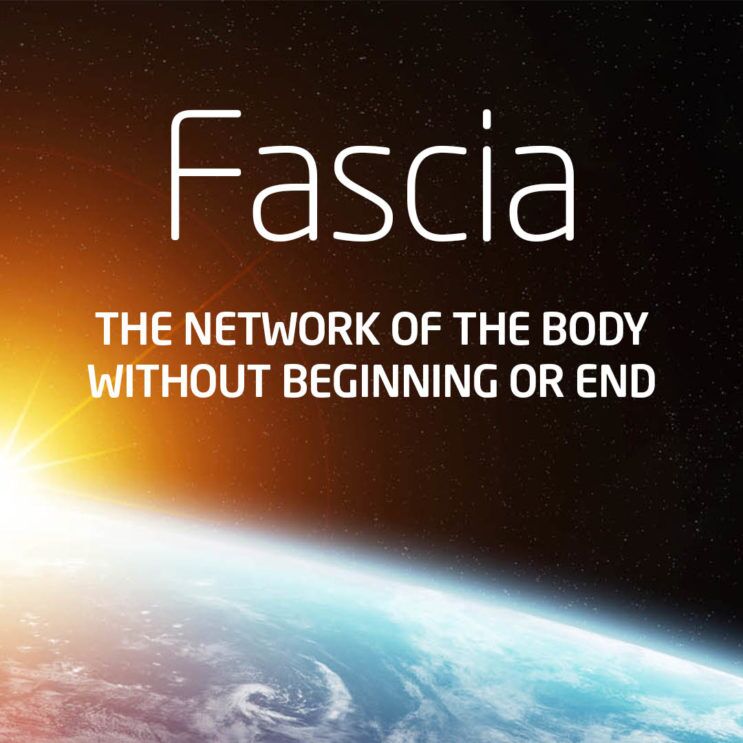 Schlatter: Symtom och Behandling | Fasciaklinikerna